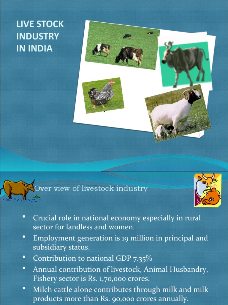 An Overview of the Livestock Industry in India: Population, Production ...