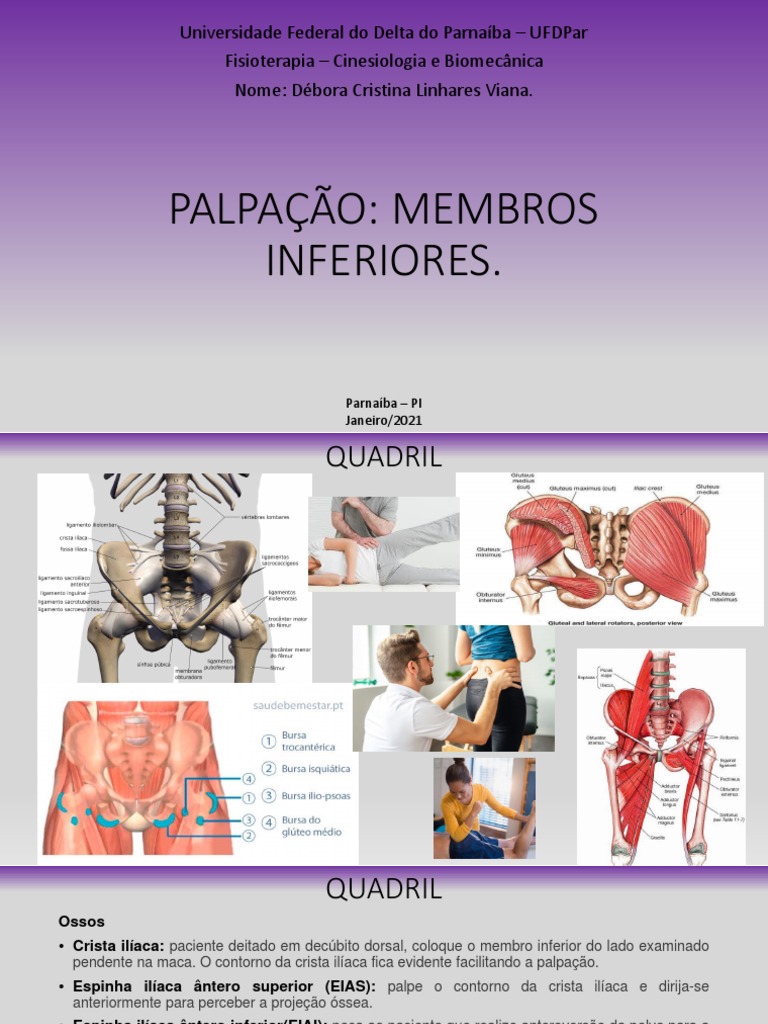 Palpação do Quadril e Joelho em Fisioterapia | PDF | Joelho | Anatomia