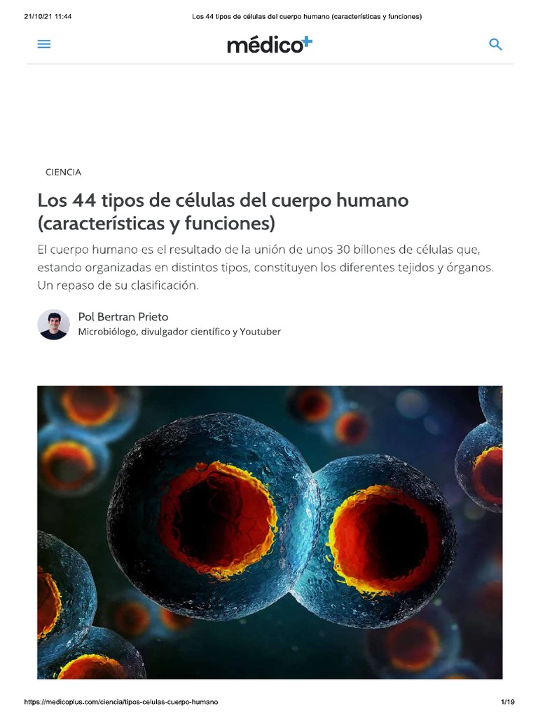 Tipos Celulares Humanos | PDF