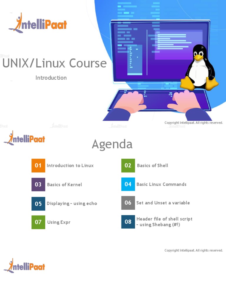 UNIX Module 1 | Download Free PDF | Linux | Shell (Computing)
