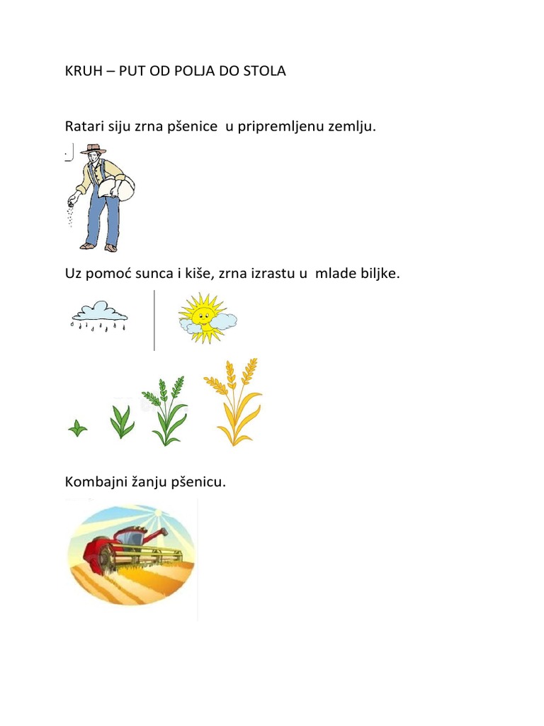 Kako Nastaje Kruh | PDF