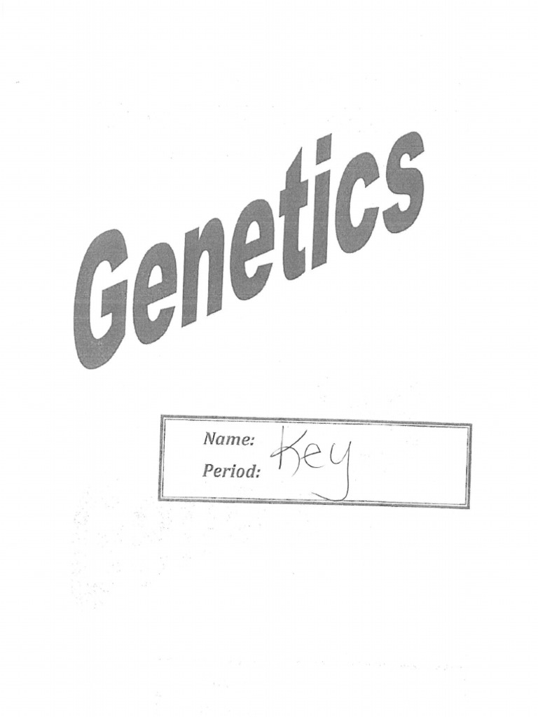 Genetics Packet Answers | PDF