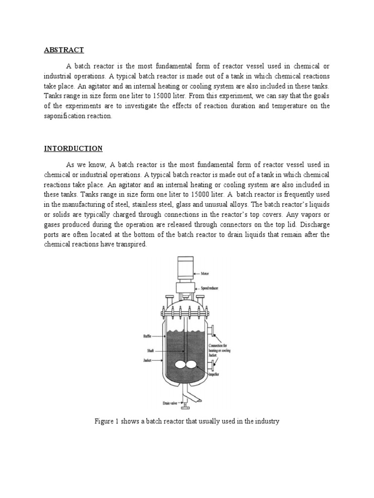 Abstract Intro Procedure Lab 1 Batch Reactor | PDF | Chemical Reactor | Chemistry