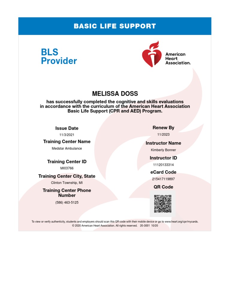 BLS Provider: Basic Life Support | PDF