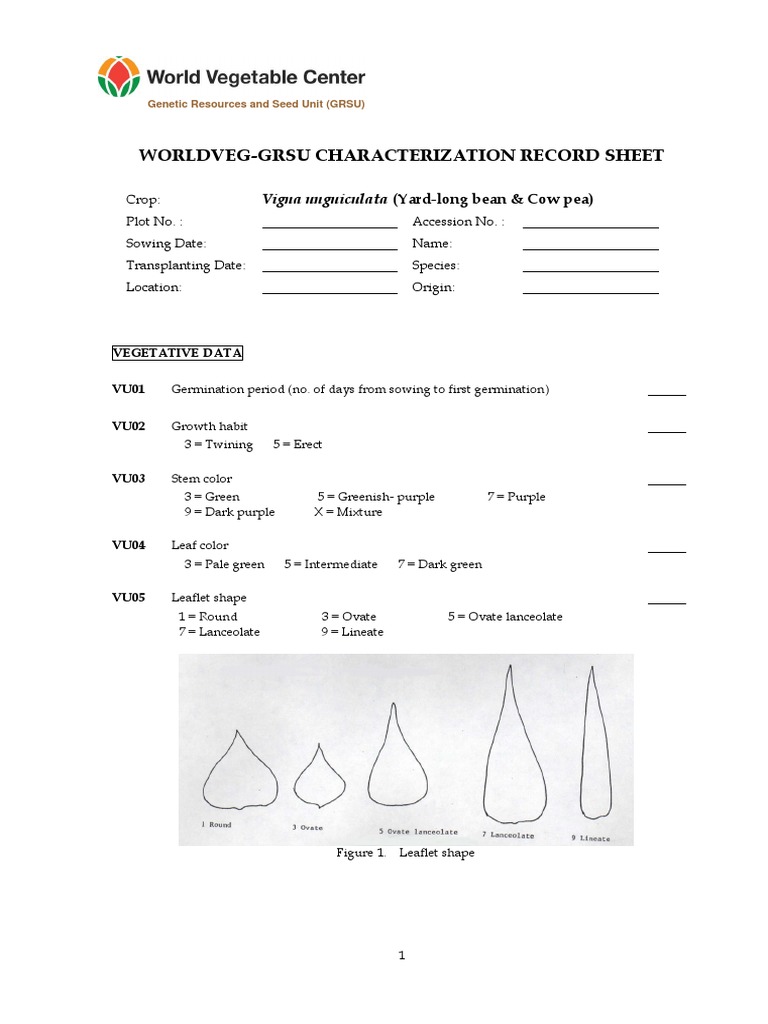Deskriptor Kacang Panjang | PDF | Botany | Plants