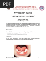 Microglosia y Macroglosia | PDF | Inflamación | Lengua