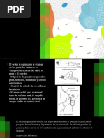 2.7. Exploración Testicular. 2.8. Escroto. 2.9. Técnicas y Maniobras de ...