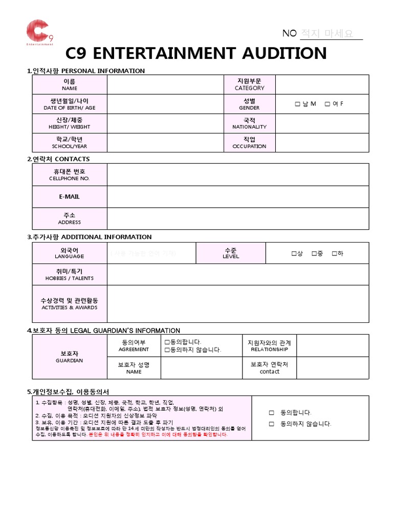 c9 Ent Audition Application | PDF