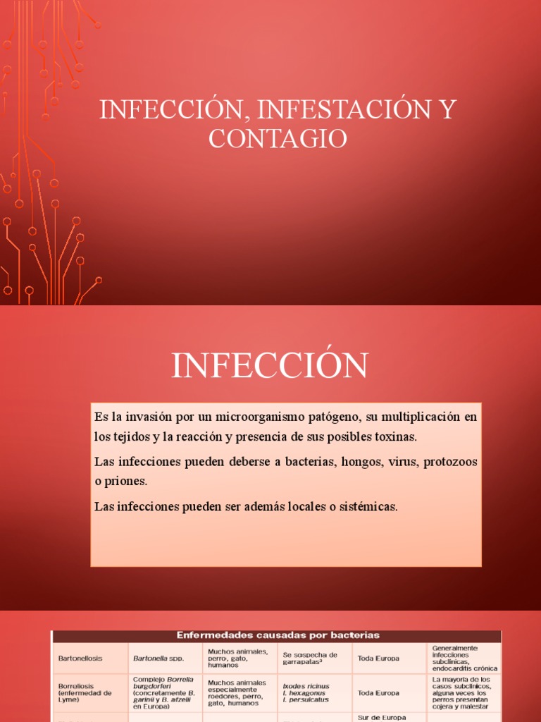 Clase No. 6 - Infección, Infestación y Contagio | PDF