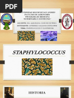 Características del exudado purulento | PDF | Infección | Medicina CLINICA