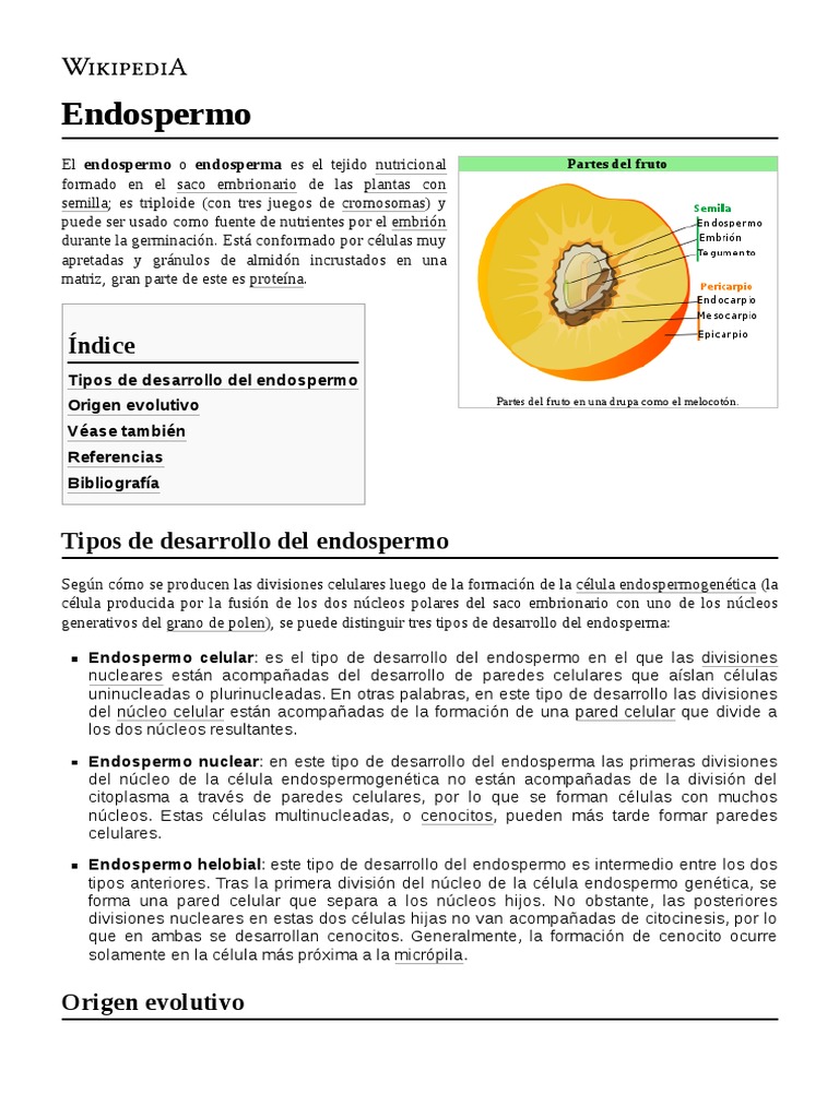 Endospermo | PDF | Ramas de la botánica | Biología