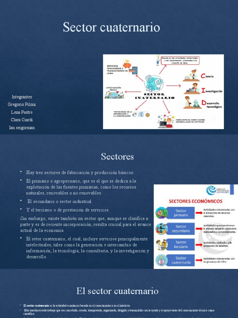 Sector Cuaternario | PDF | Economias