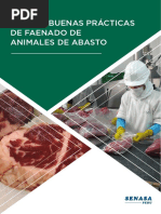 Proceso de Faenamiento Del Pollo | PDF | Aves | Medicina