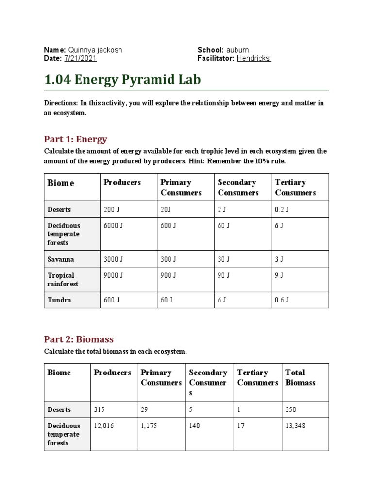 Energy Pyramaid Lab | PDF | Biomass (Ecology) | Ecosystem