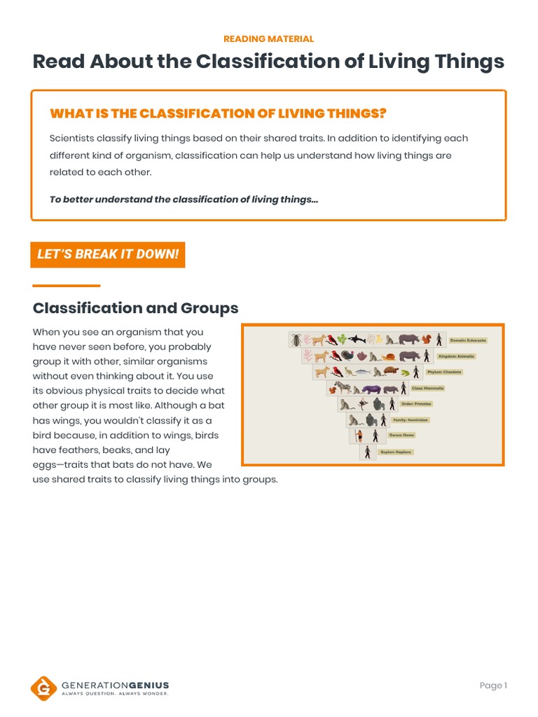 What Is The Classification of Living Things? | Download Free PDF ...