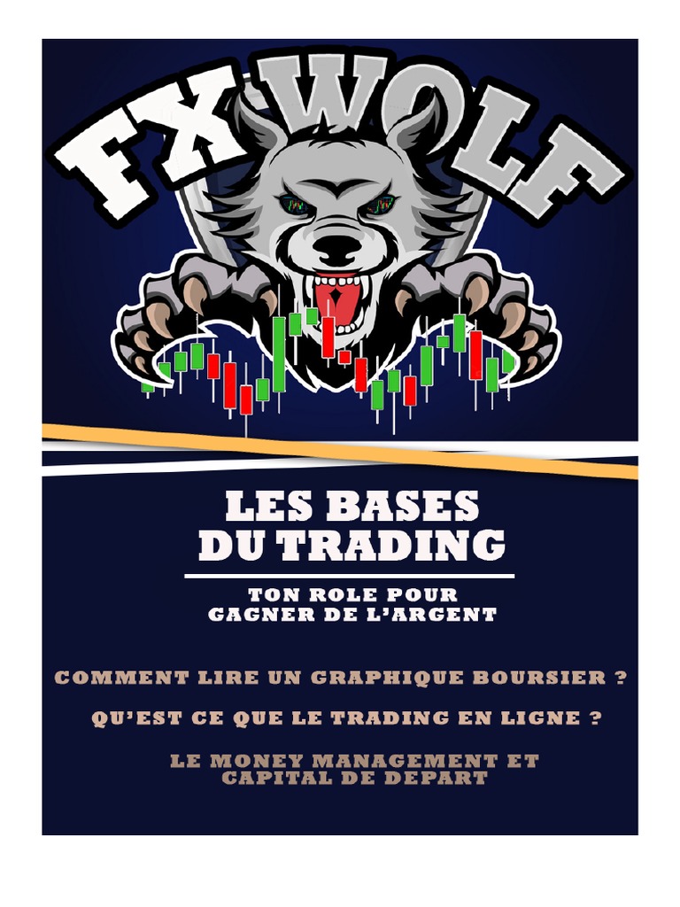 Les Bases Du Trading | PDF | Forex | Opérateur de marché