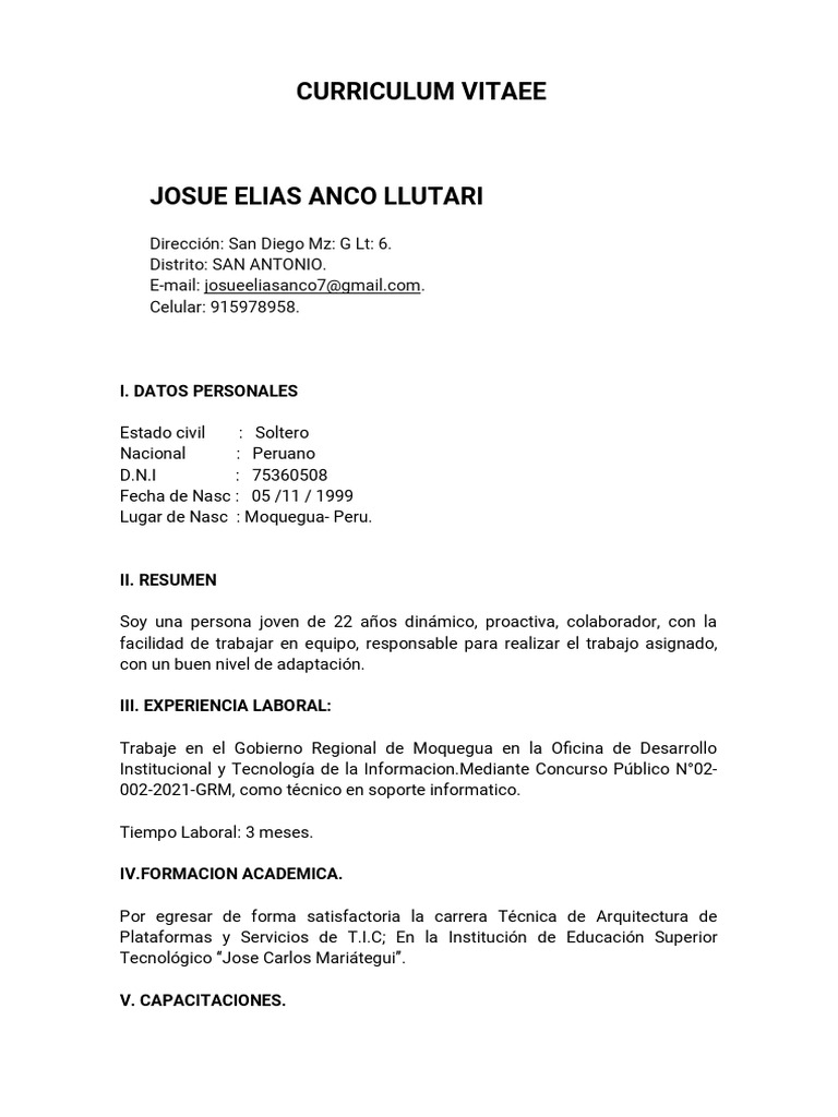 Curriculum Vitae Luis | PDF