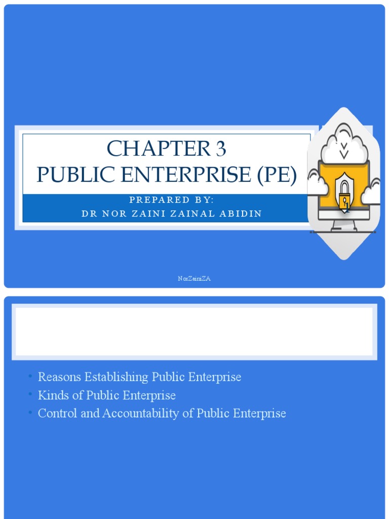 Understanding Public Enterprises | PDF | State Owned Enterprise | Monopoly
