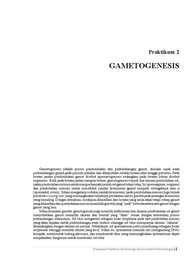 04b Penuntun Praktikum 2 | PDF | Sains & Matematika