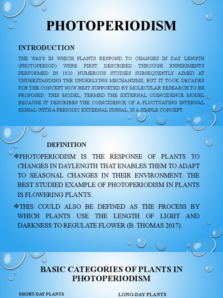 Photoperiodism Powerpoint Edu | PDF | Molecular Biology | Biochemistry