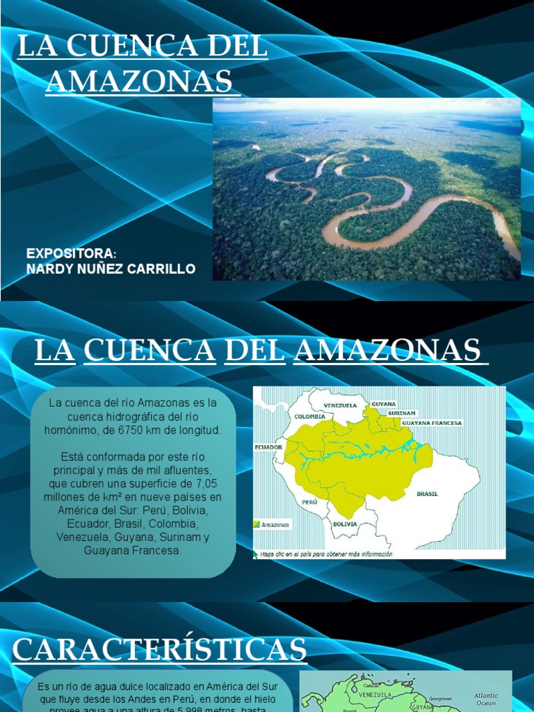 Cuenca Del Amazonas | PDF | río Amazonas | América del Sur