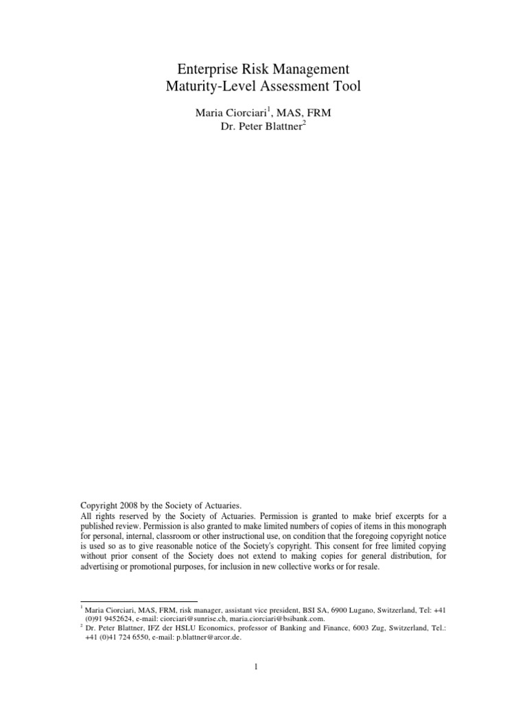 Enterprise Risk Management Maturity-Level Assessment Tool | PDF ...