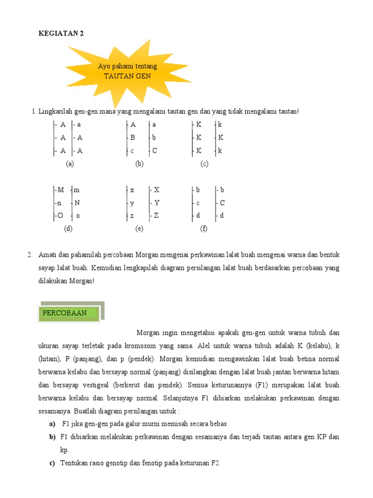 Tautan Gen dalam Percobaan Morgan | PDF