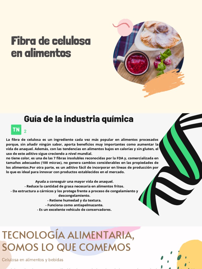 Fibra de Celulosa en Alimentos | PDF | Alimentos | Dieta y nutrición