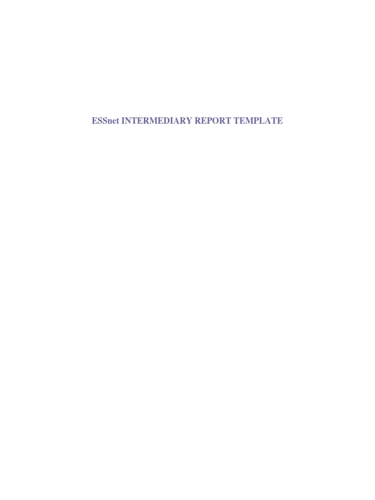 ESSnet Intermediary Report Template | PDF | Project Management | Business
