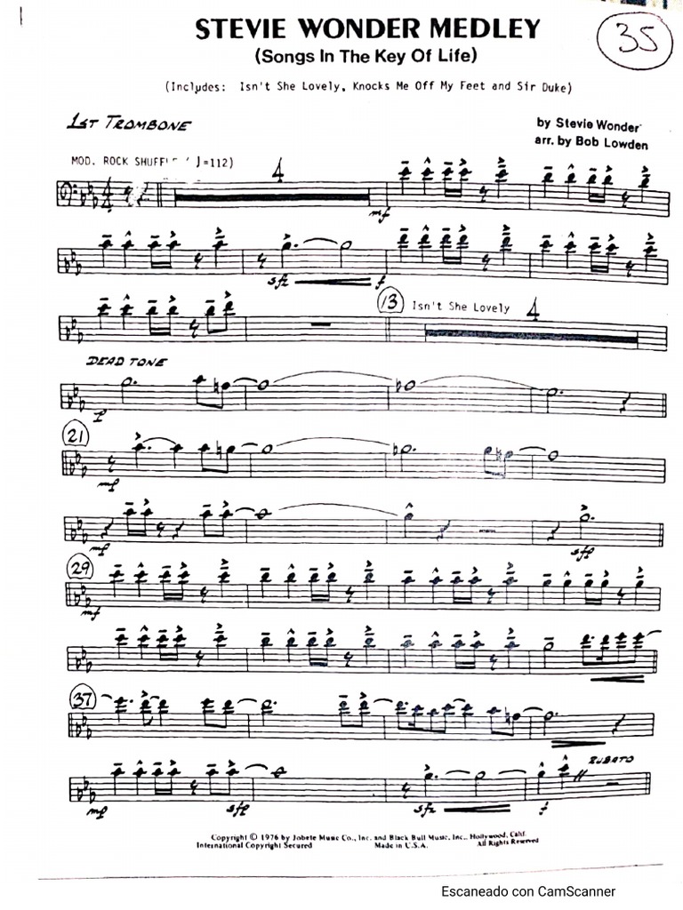 Stevie Wonder | PDF