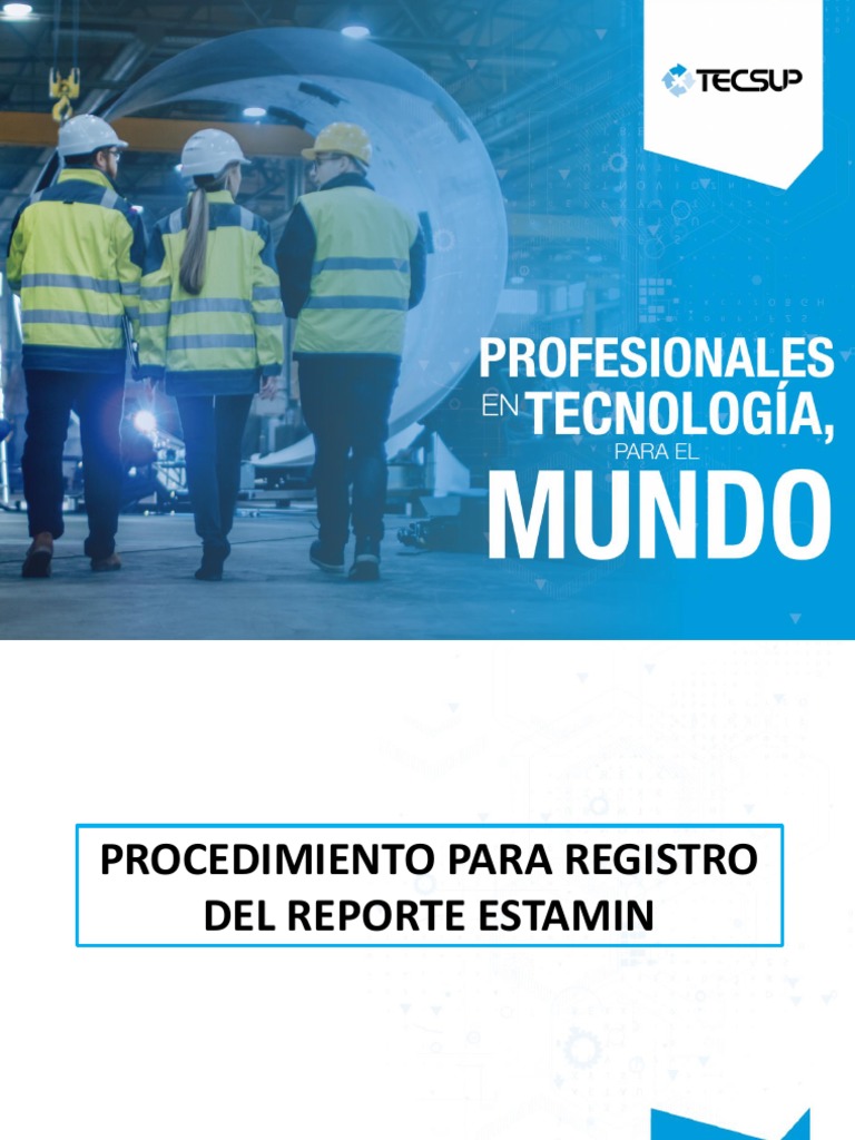 Manual Estamin | PDF | Ingeniería | Business