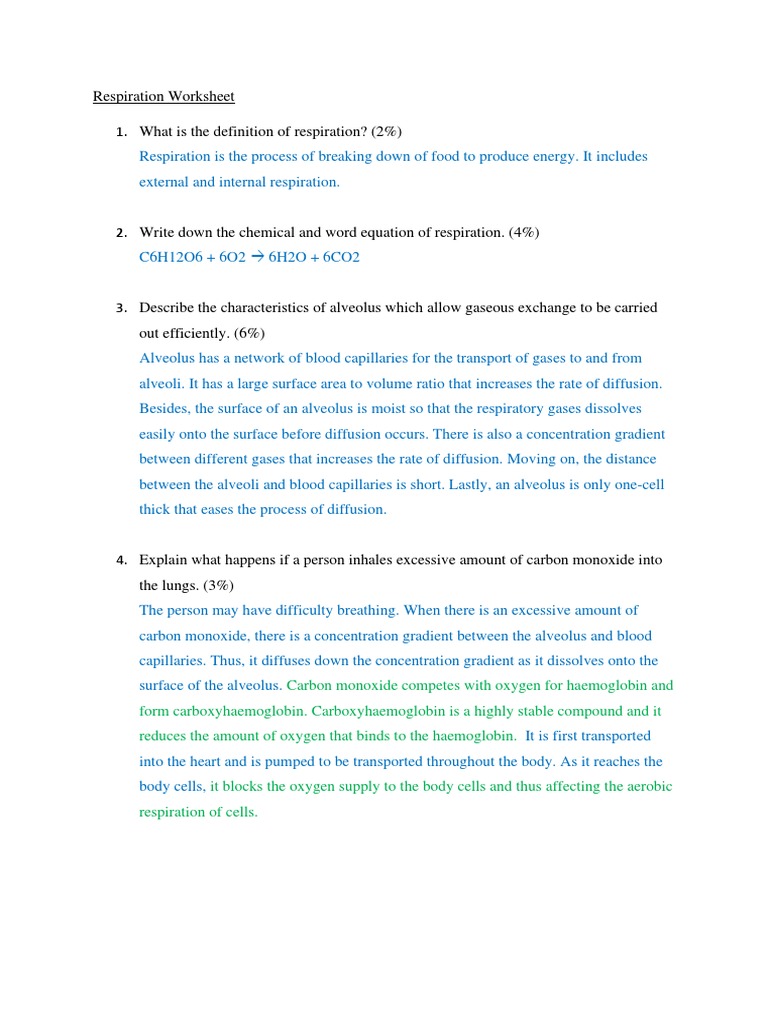 Respiration Worksheet - Answers | PDF | Respiratory System | Breathing