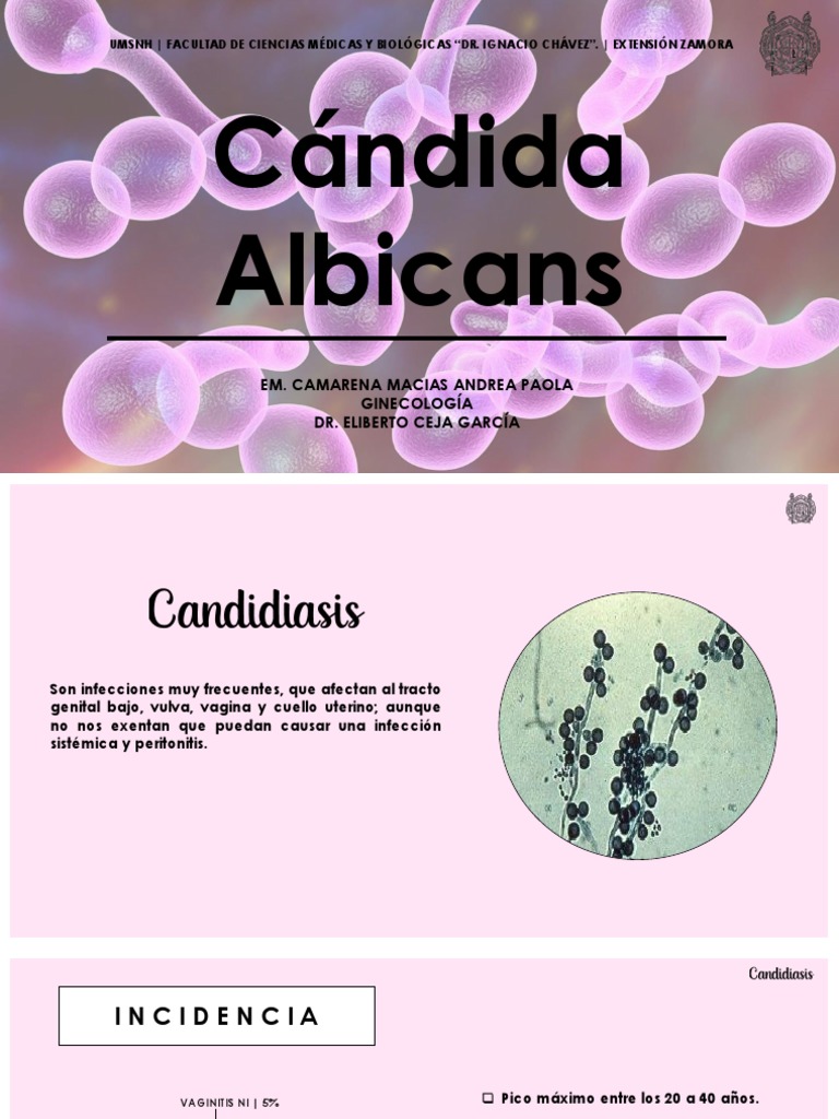 Candidiasis vulvovaginal: epidemiología, etiología, patogenia, clínica, diagnóstico y ...