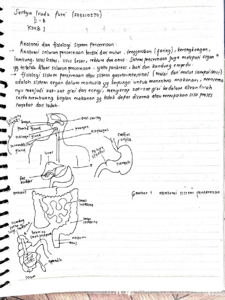 kmb1 Saskya Ivada Putri II B - Compressed - Compressed | PDF