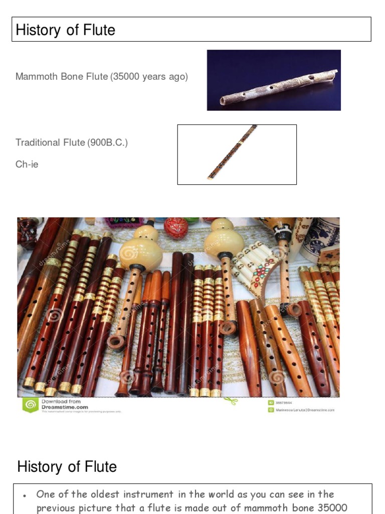 Evolution of the Flute | PDF | Flute | Woodwind Instruments