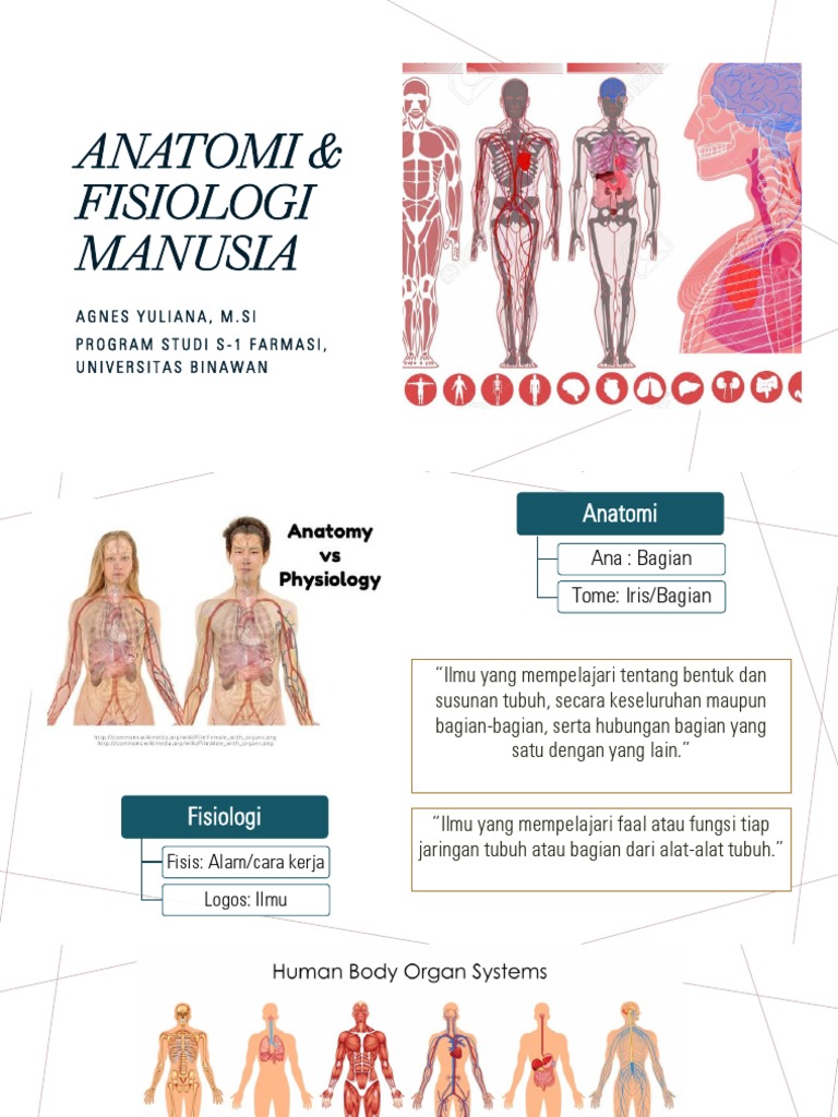 Anatomi Fisiologi Manusia Pertemuan 1 | PDF
