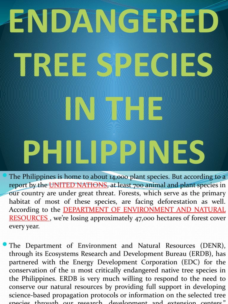 Endangered Tree Species in The Philippines | PDF | Trees | Natural ...