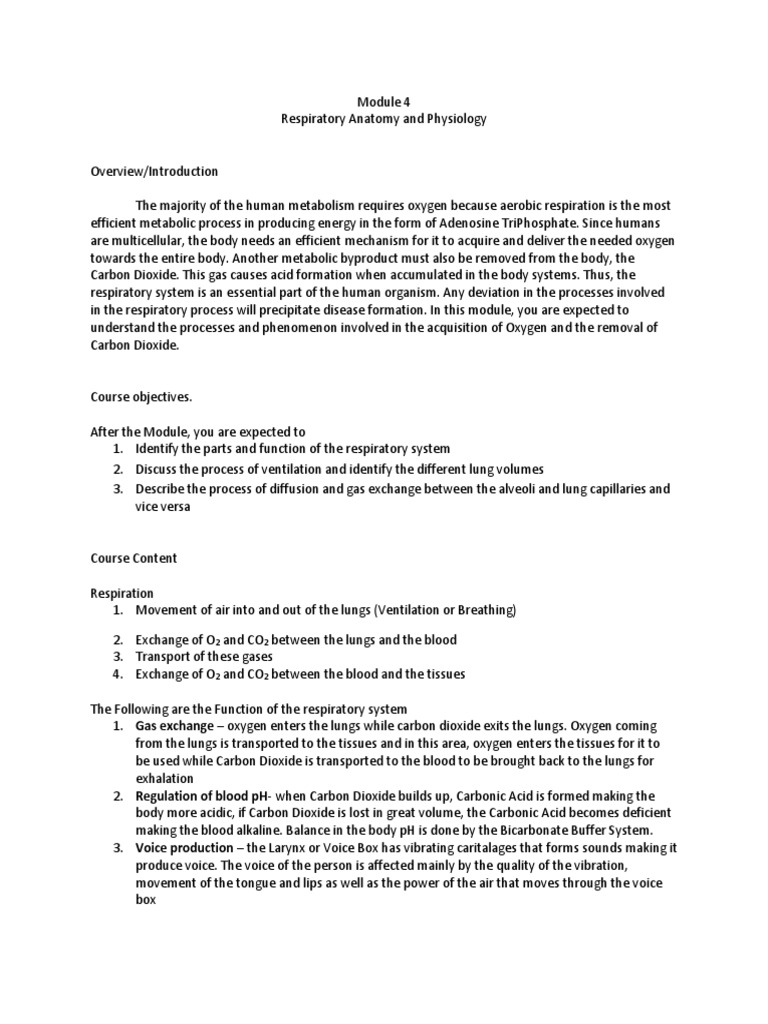 Module 4 Respiratory System | PDF | Lung | Respiratory Tract