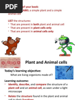Amoeba Sisters - Intro To Cells Recap | PDF | Cell (Biology ...
