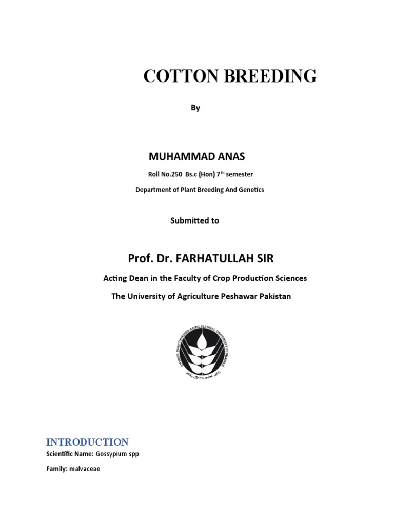 Cotton Breeding: Prof. Dr. Farhatullah Sir | PDF | Flowers | Pollination