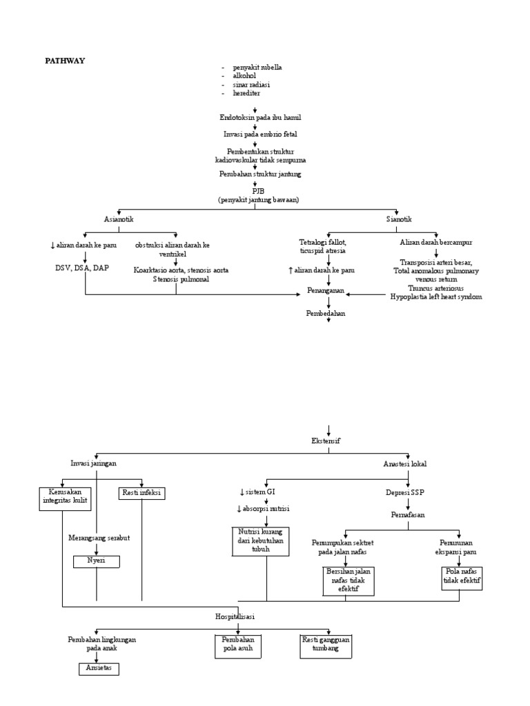 PENGARUH PENYAKIT JANTUNG BAWAAN TERHADAP SISTEM FISIOLOGI TUBUH | PDF