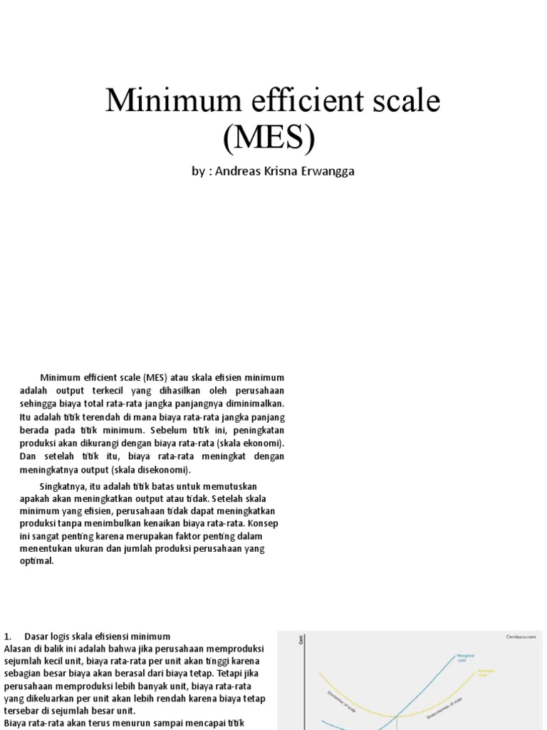 Minimum Efficient Scale (MES) | PDF