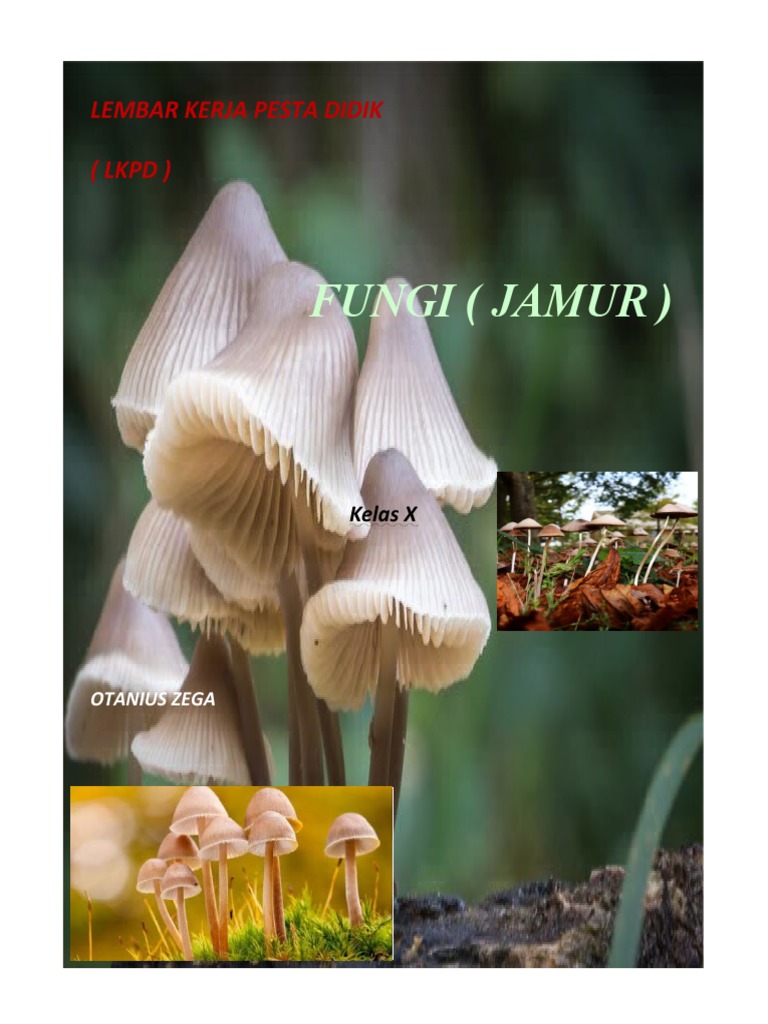 LKPD Jamur | PDF