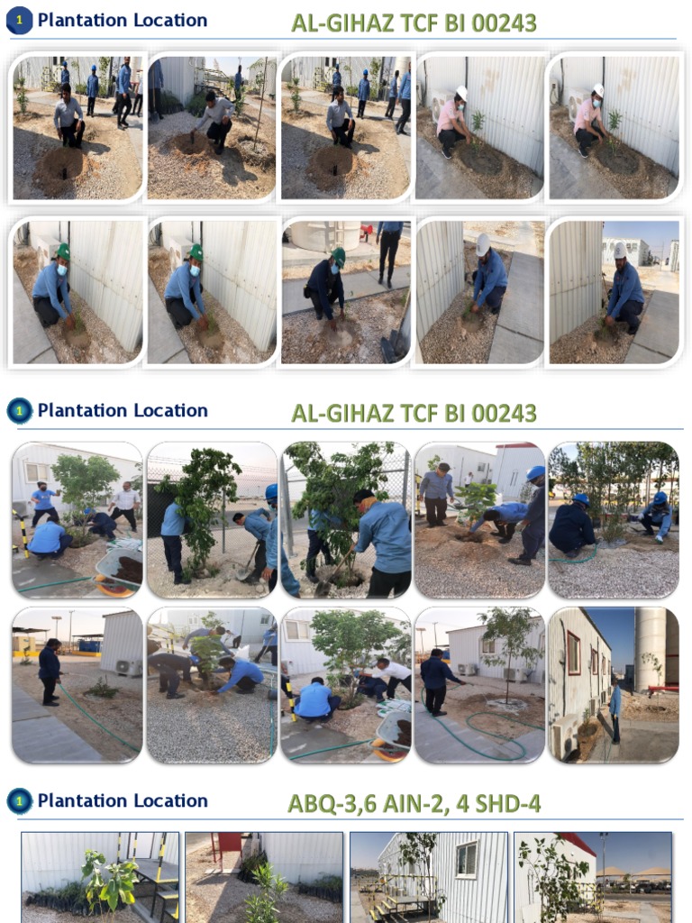 Plan For Plantation-Al Gihaz Co BI 243 | PDF