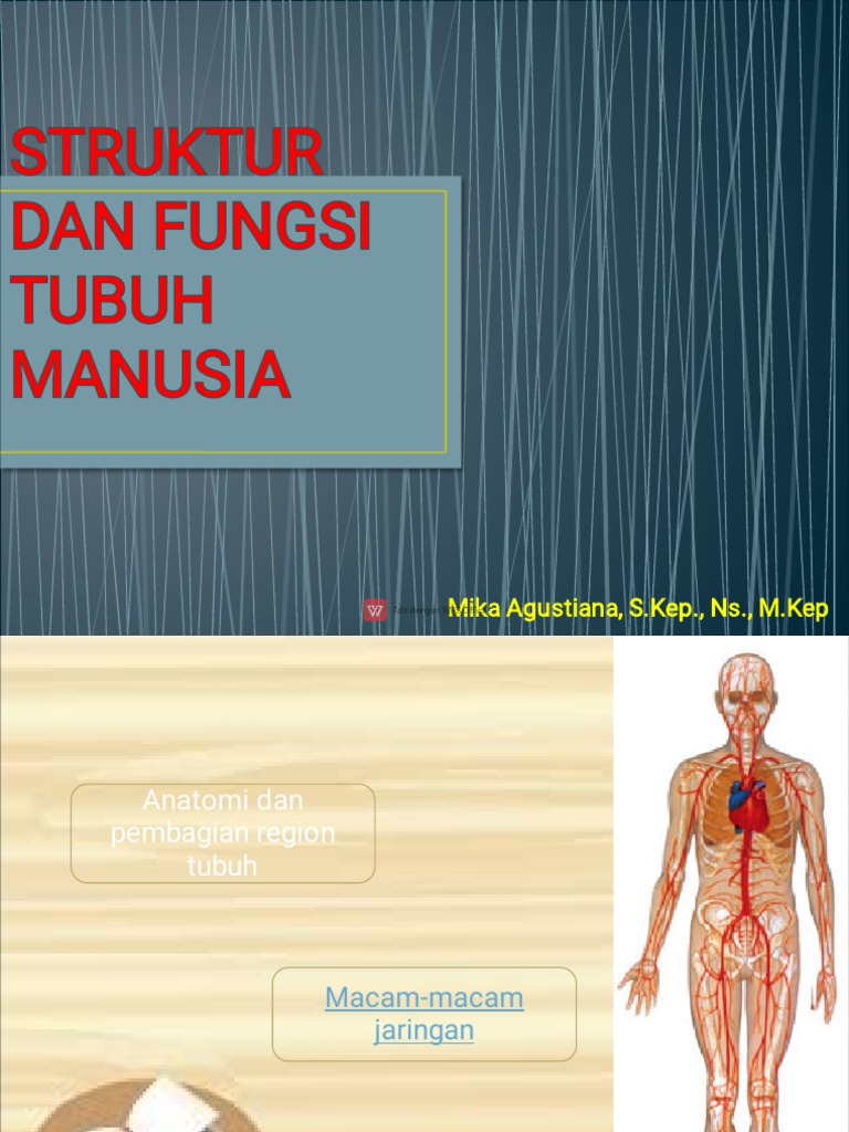 Struktur Dan Fungsi Tubuh Manusia | PDF