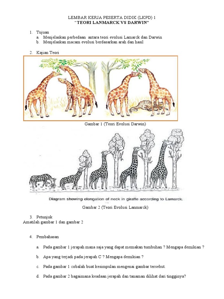 LKPD Evolusi Lengkap | PDF