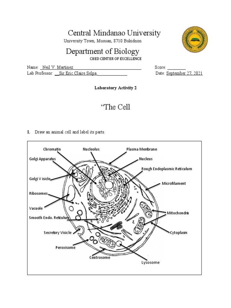 Biology Lab: Cell Structure Guide | PDF | Cell (Biology) | Cytoplasm