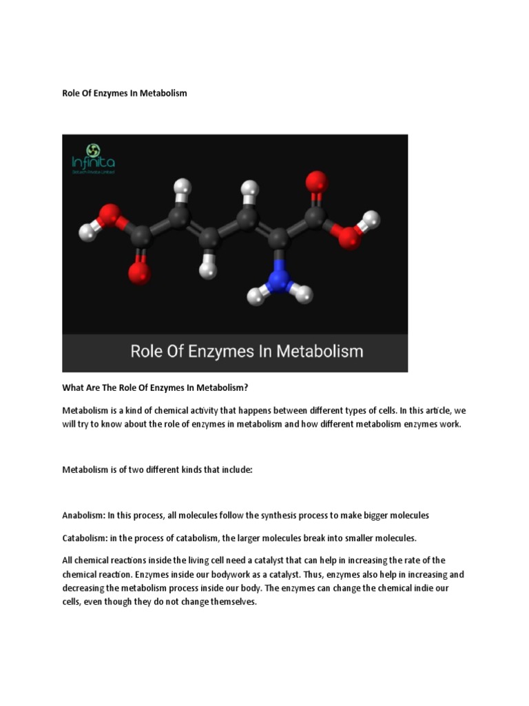 Role of Enzymes in Metabolism | PDF | Enzyme | Metabolism