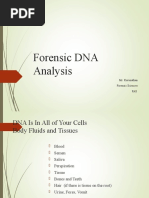 Snorks Activity Revised | PDF | Translation (Biology) | Gene