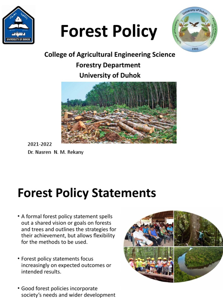 Essential Elements of Forest Policy | PDF | Policy | Forests